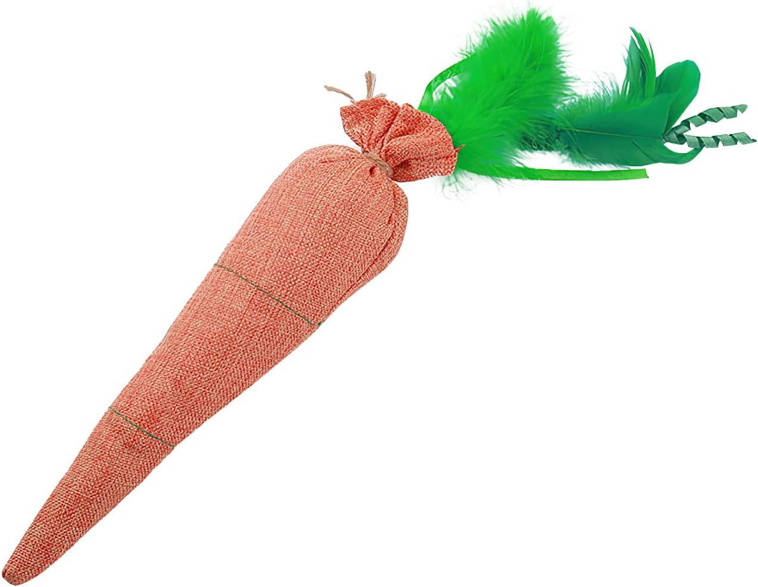 Tingzi Fun Carrot Catnip Toys for Indoor Cats to Keep Them Busy, Soft ...