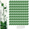 Tingzi Plant Climbing Wall Fixture Clips, 2024 Upgraded Plant Clips for ...