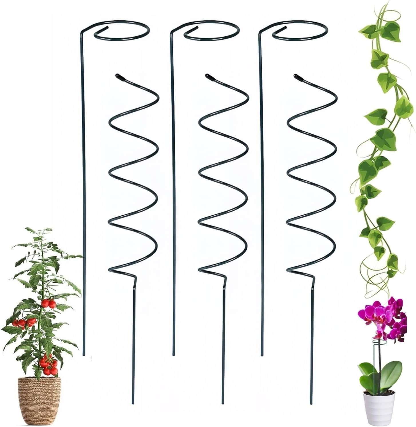 Tingzi Tomato Twist Stake, Spiral Tomato Stakes, Tomatos Twist Stakes ...