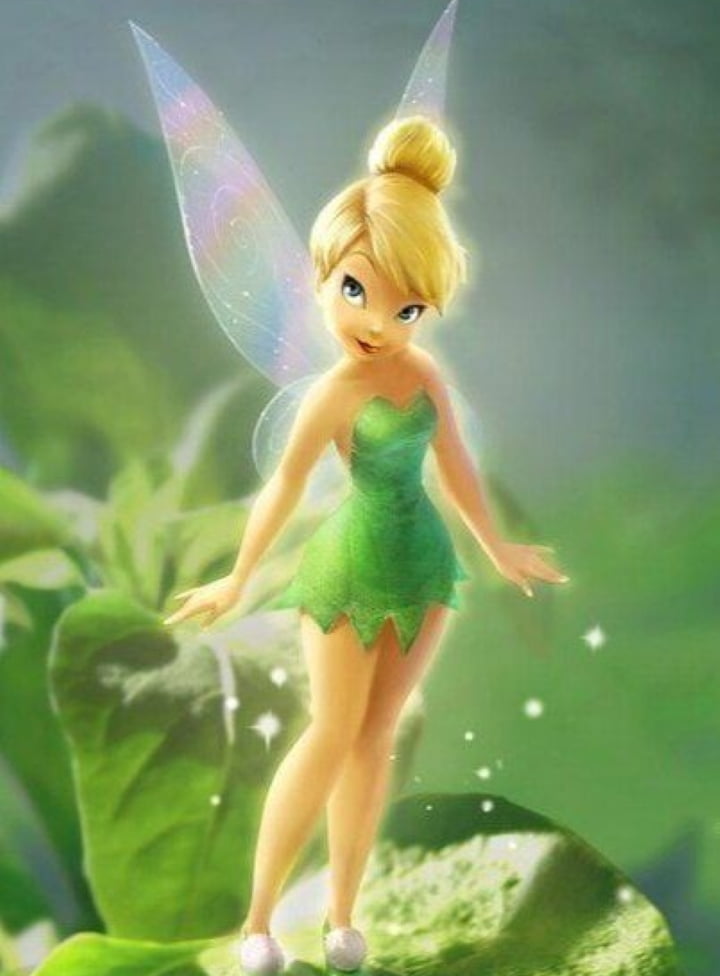 Tinker Bell Diamond Painting Kits for Adults and Kids Full Drill Round ...