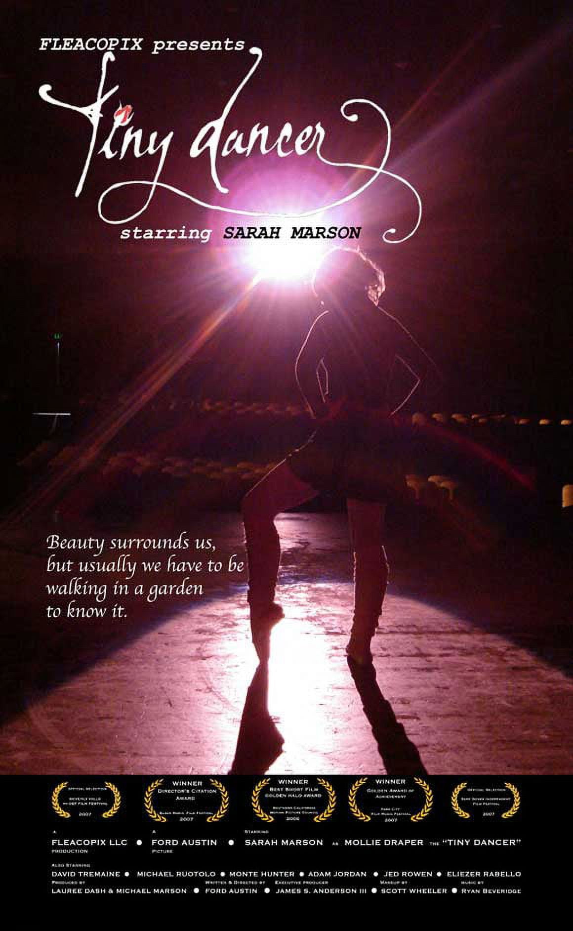 Tiny Dancer - movie POSTER (Style A) (27" x 40") (2006) - Walmart.com