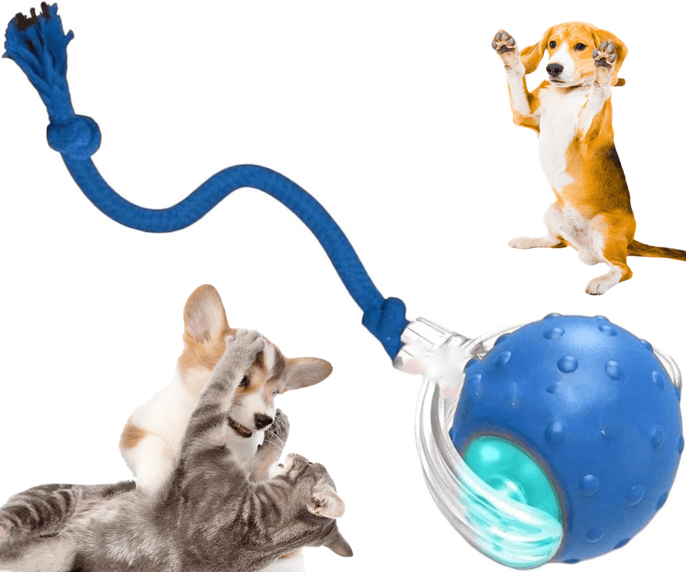 Tiny Fetch Dog Toy, Interactive Dog Ball, 2026 New Living Interactive ...