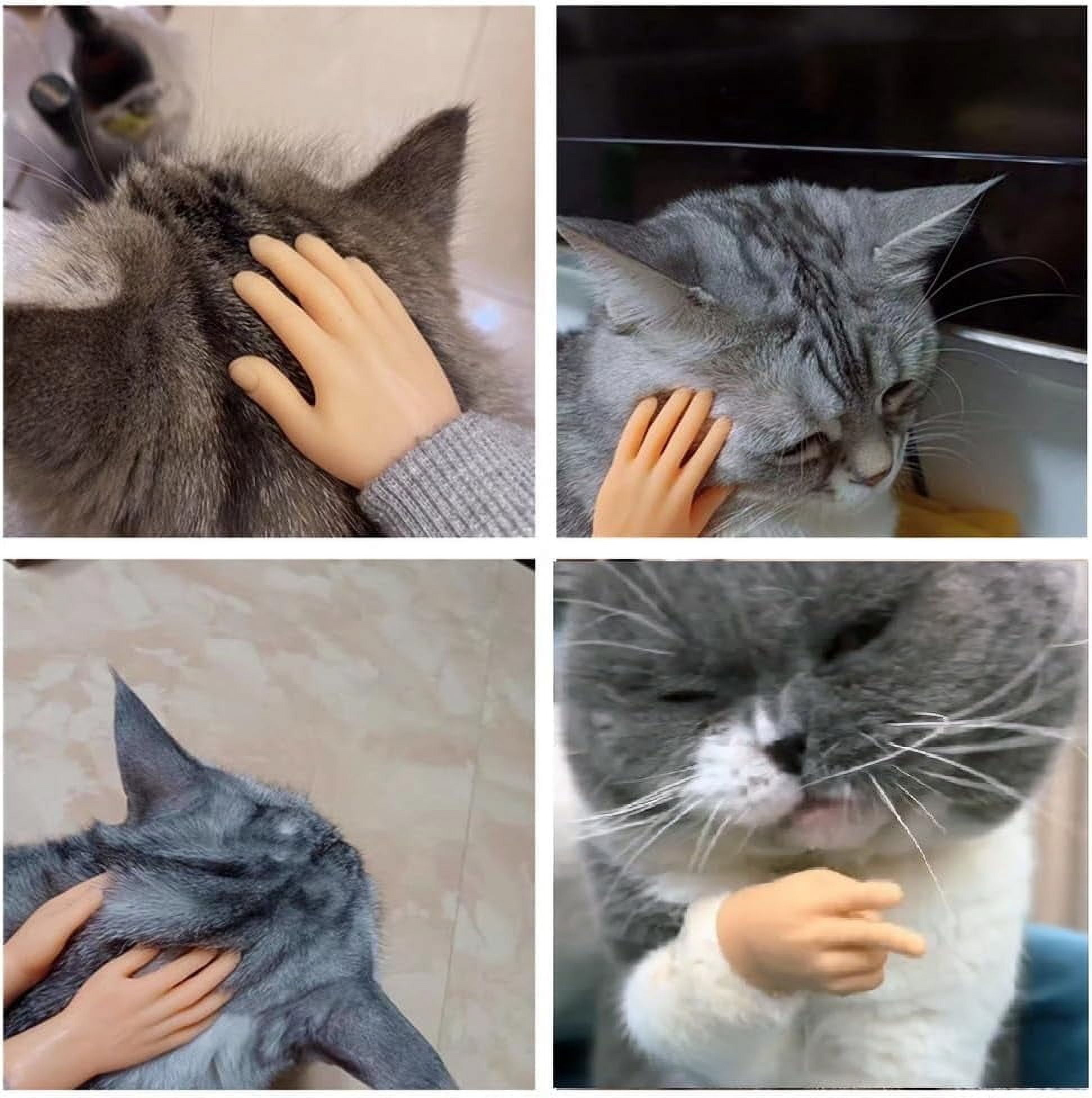 Tiny Hands for Cats, Cat Mini Hands, Hand Finger Puppets, Premium ...