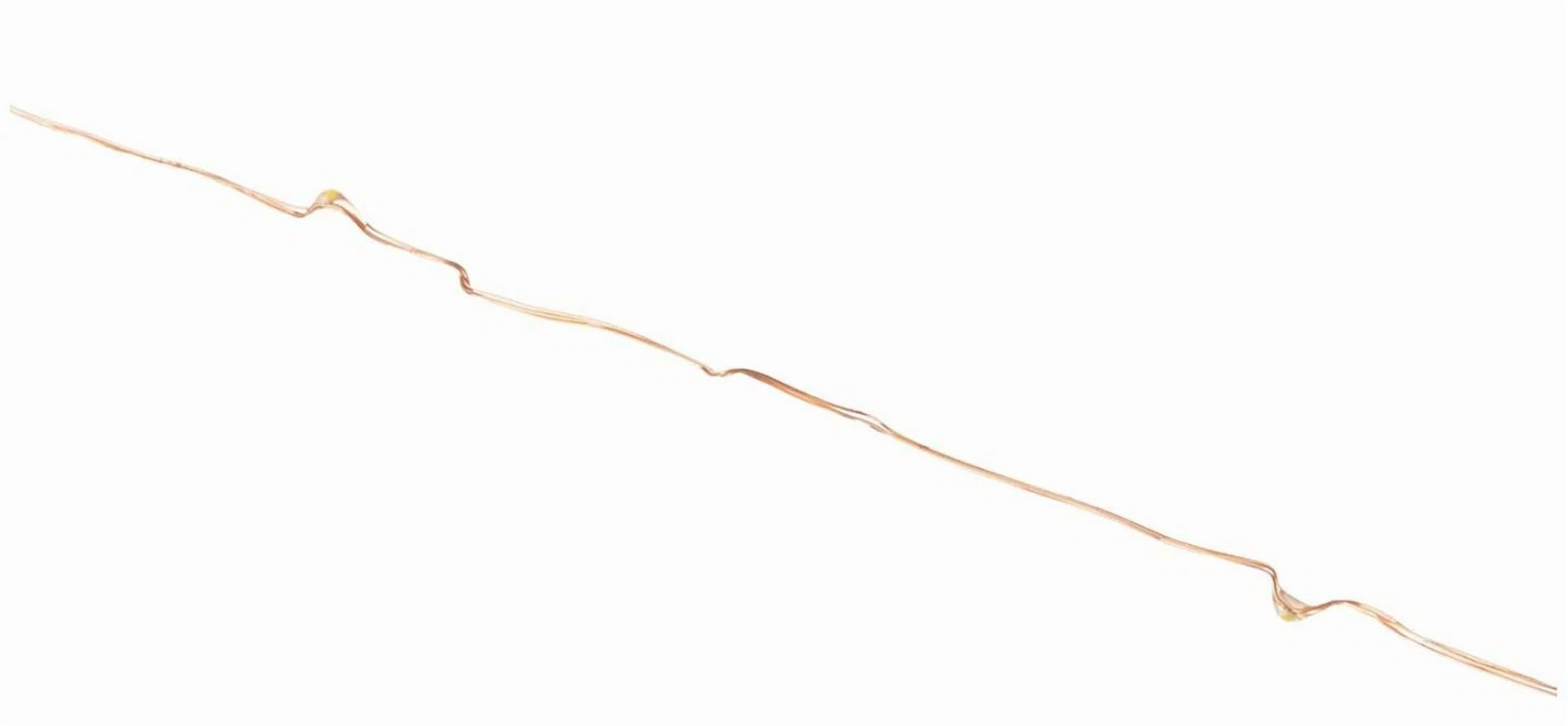 Tiny Lites Battery Operated Copper Wire Led Light String, Warm White, 20-Feet - Walmart.com
