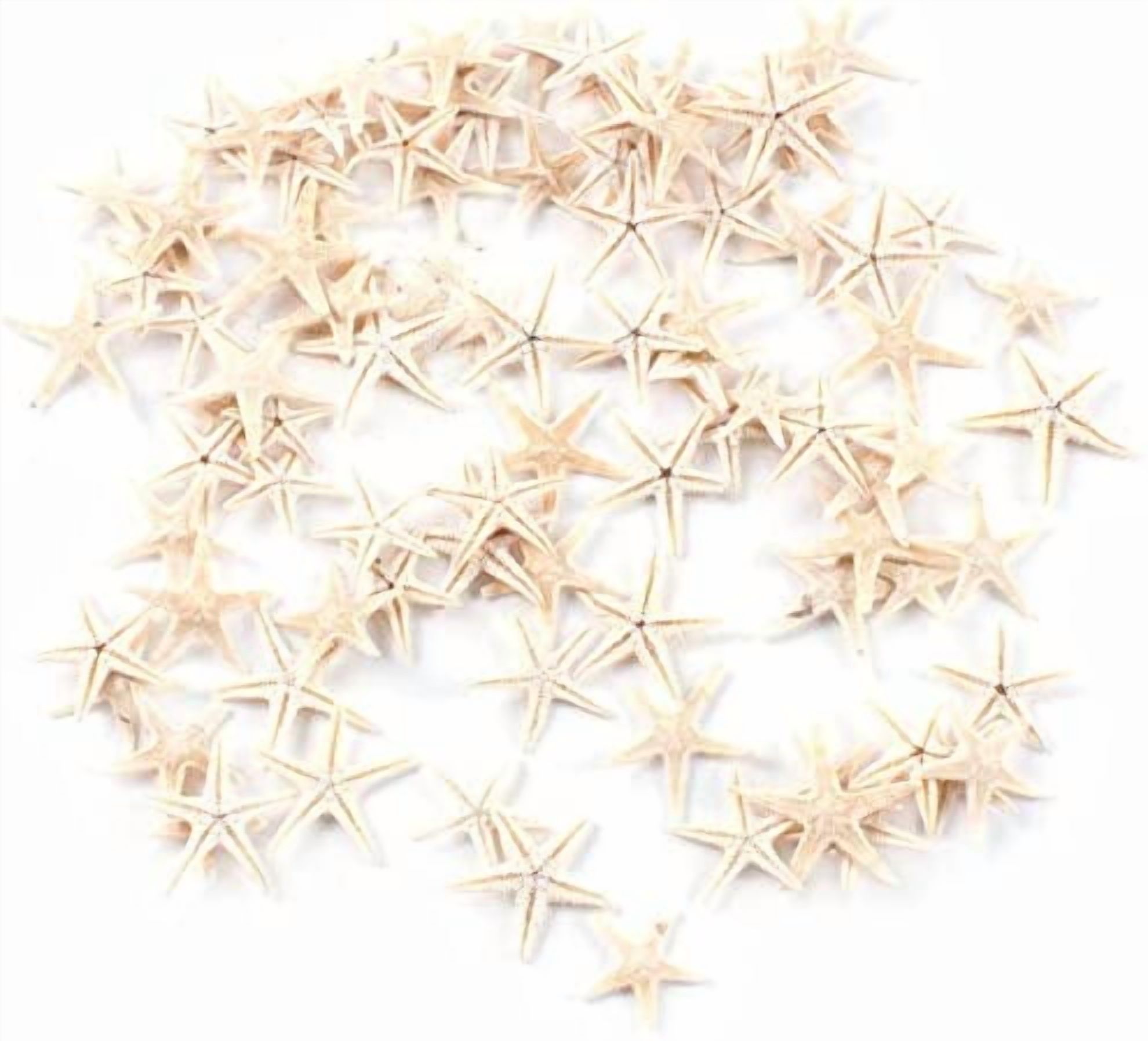 Tiny Miniature Fairy Garden Beach Critter Starfish Marine Life ...