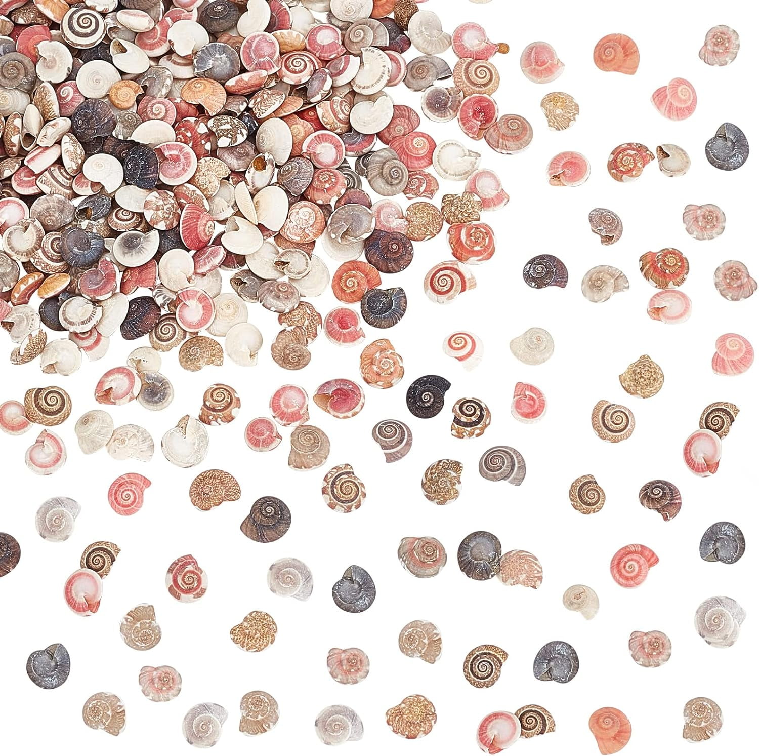 Tiny Sea Shells No Hole 190g Colorful Spiral Ocean Beach Seashells ...
