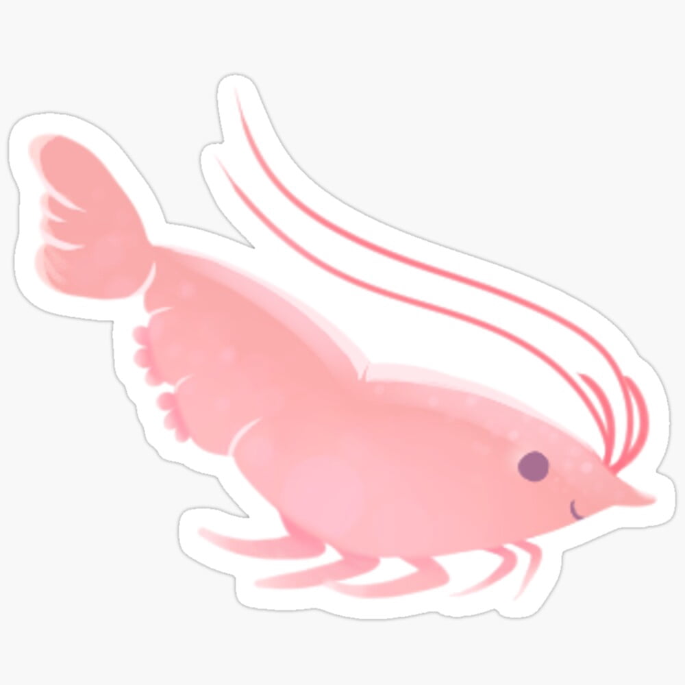 Tiny Shrimp Sticker Phone Decal Water Bottle Stickers Car Decals ...