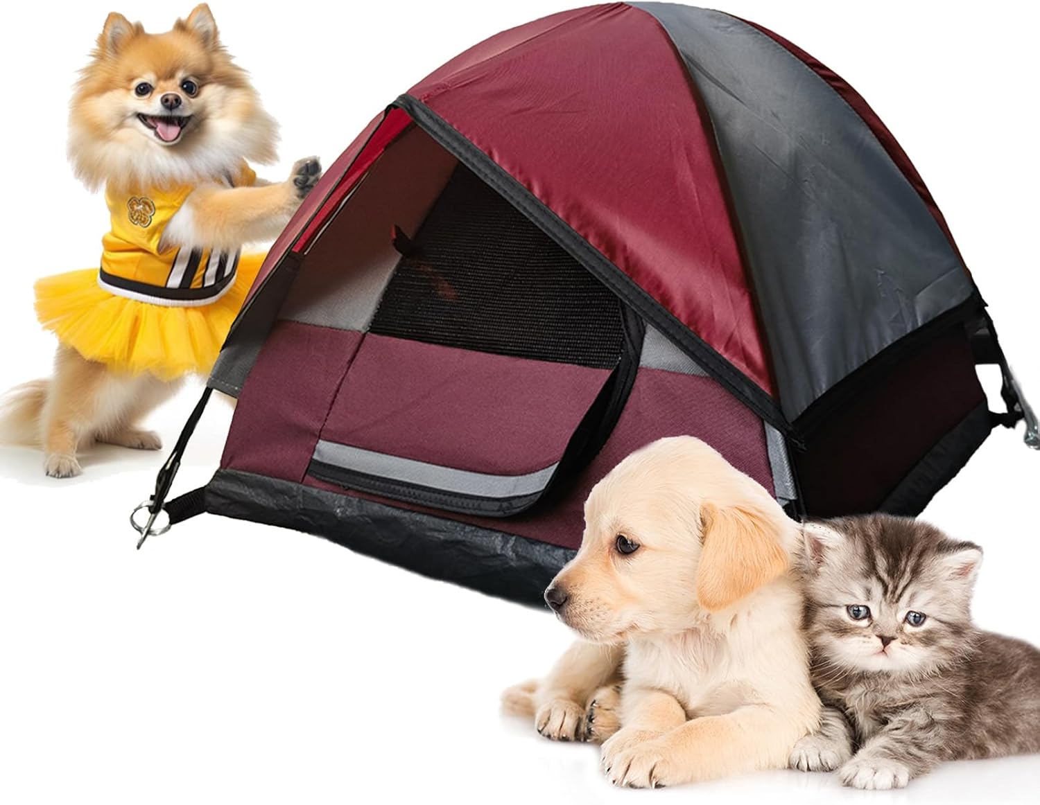 Tiny Tent for Cats, Mini Tent for Pets, Mini Cat Tent, Mini Display ...