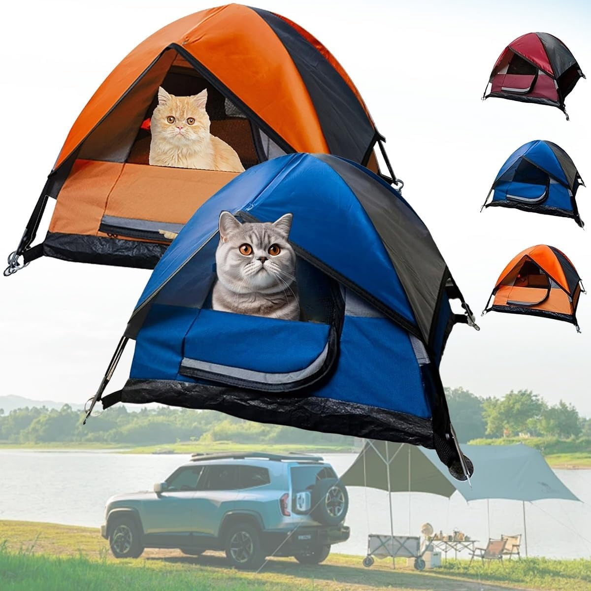 Tiny Tents for Display, Mini Cat Tent Outdoor, Mini Display Tent, Mini ...