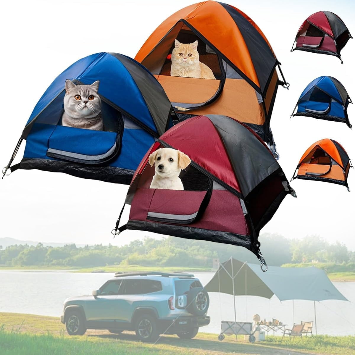 Tiny Tents for Display, Mini Cat Tent Outdoor, Mini Display Tent, Mini ...
