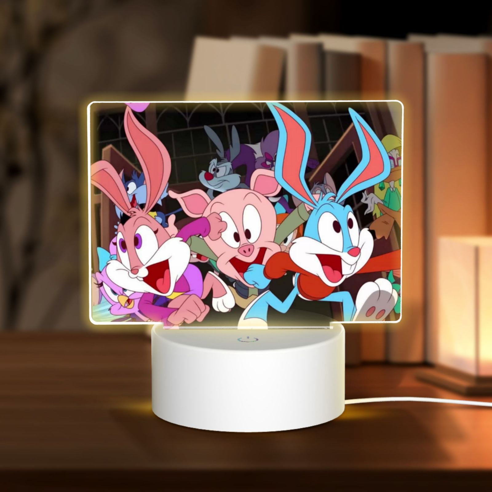 Tiny Toons Looniversity Rectangular Acrylic Night Light Adjustable 3 ...