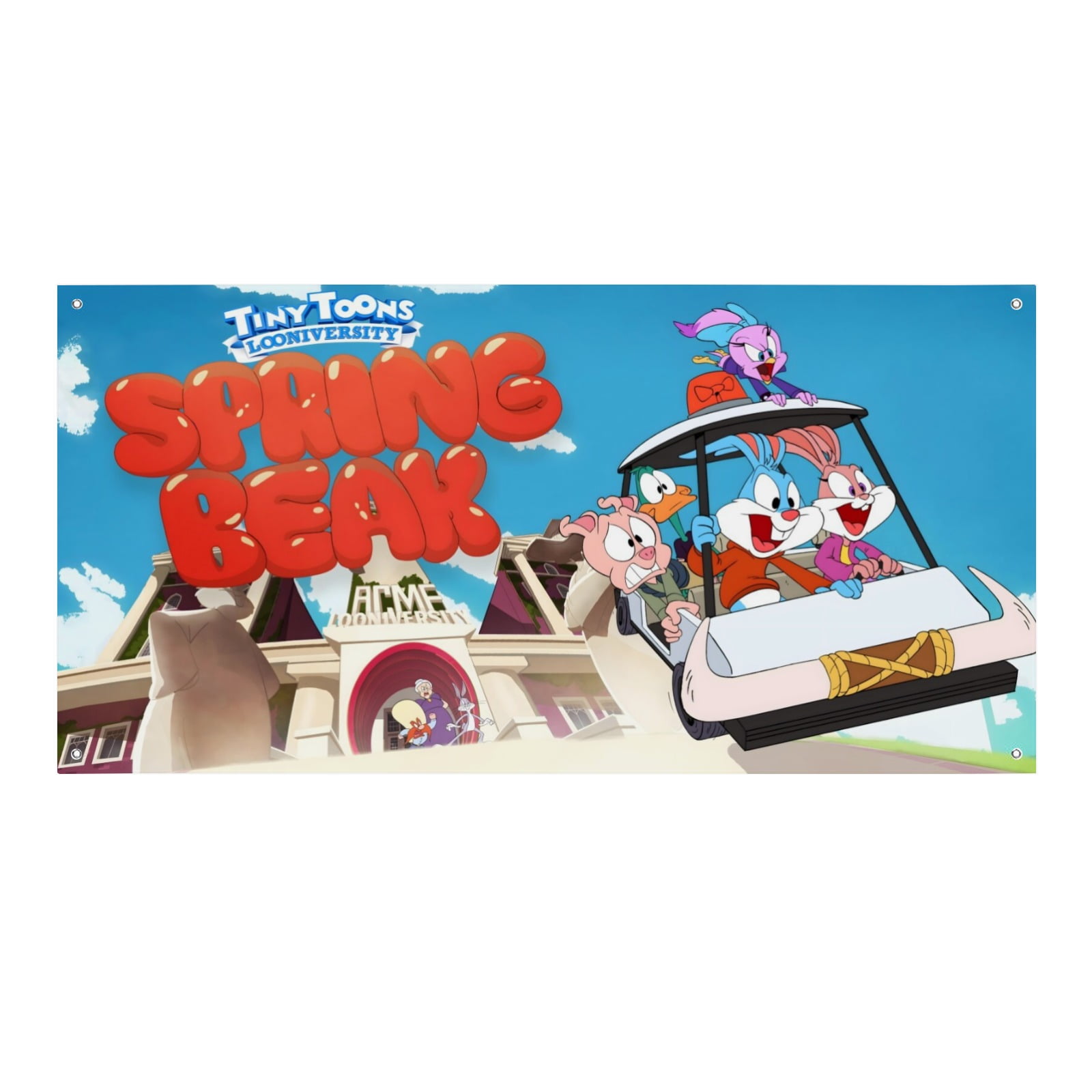 Tiny Toons Looniversity-Theme Backdrops Banner Birthday Party Decor ...