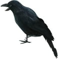 TinyGlamHalloween Realistic Crow, 9.84 Extra Large Black Feathered ...