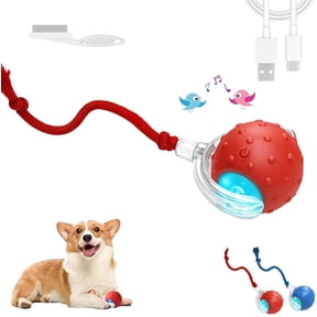 Self Moving Dog Toy
