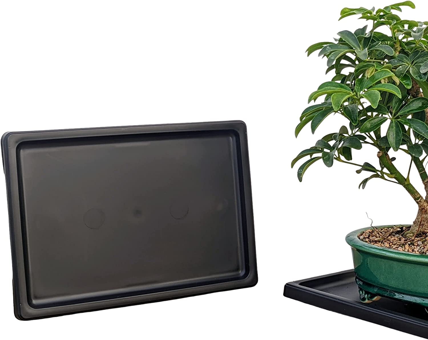 Tinyroots Bonsai Humidity Tray, 7-Inch Drip Tray, Maintains Moisture ...