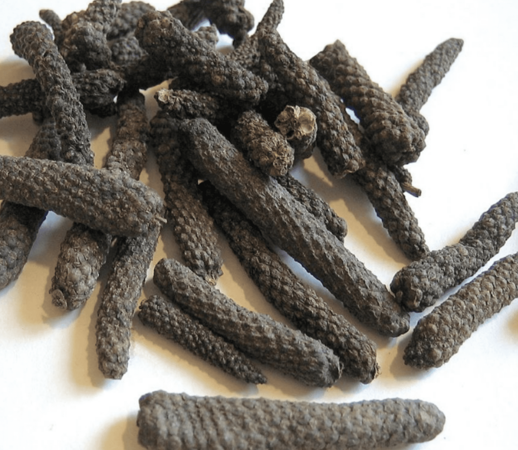 Tippili/Long pepper/ Pippali Plant - Walmart.com
