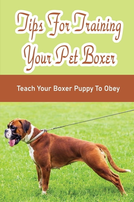 Tips For Training Your Pet Boxer: Teach Your Boxer Puppy To Obey: The ...