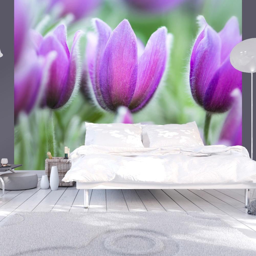 Tiptophomedecor Floral Wallpaper Wall Mural - Purple Spring Tulips ...
