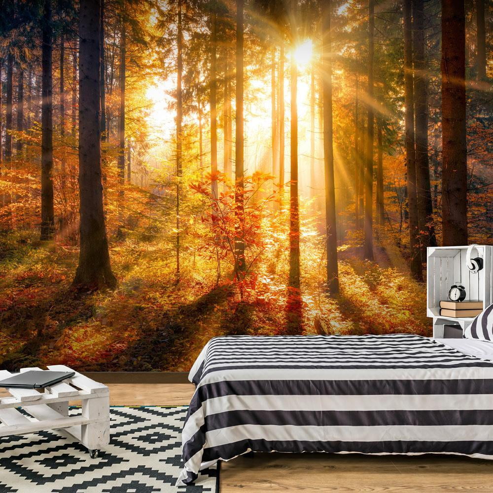 Tiptophomedecor Peel and Stick Forest Wallpaper Wall Mural - Autumn ...