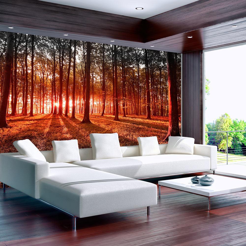 Tiptophomedecor Peel and Stick Forest Wallpaper Wall Mural - Autumn ...