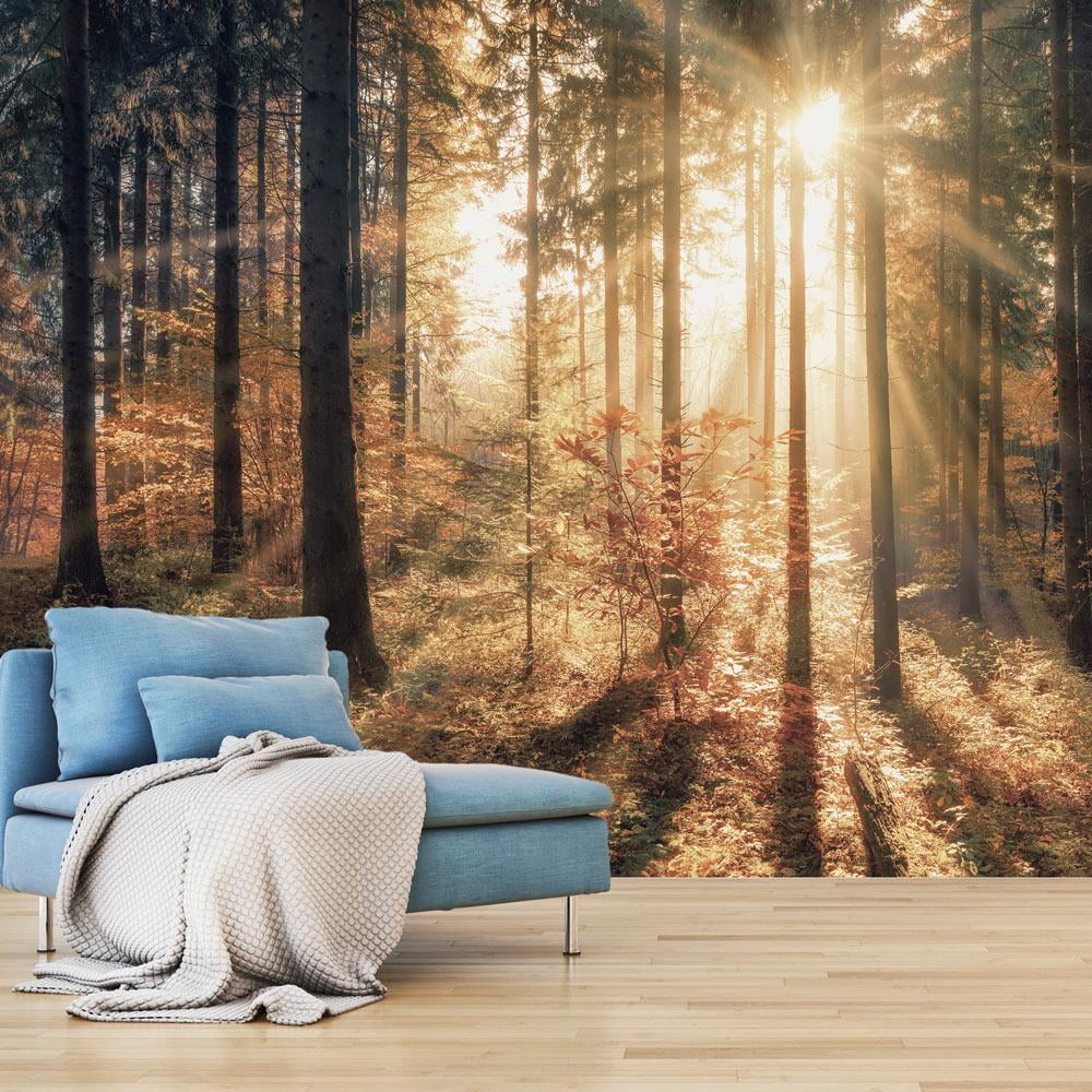 Tiptophomedecor Self-Adhesive Forest Wallpaper Mural - Morning Sun ...