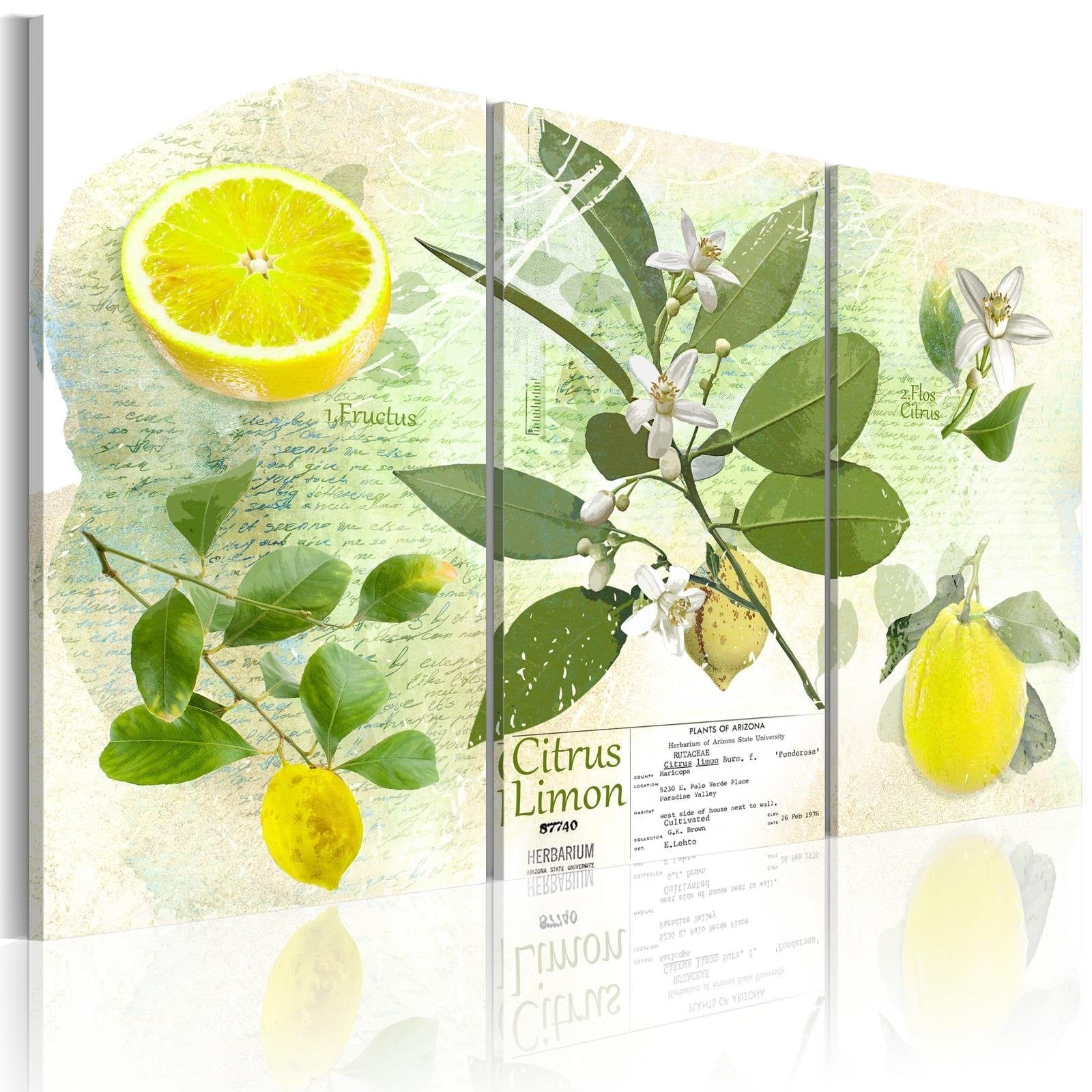 Tiptophomedecor Stretched Canvas Still Life Art - Fruit: Lemon ...