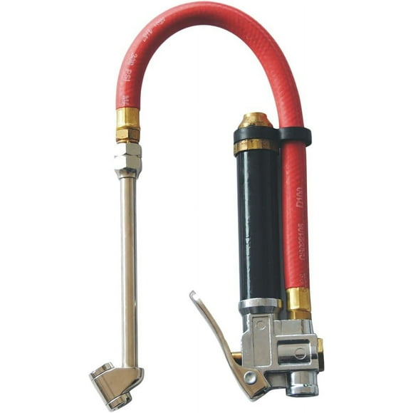 Dual Chuck Tire Inflator