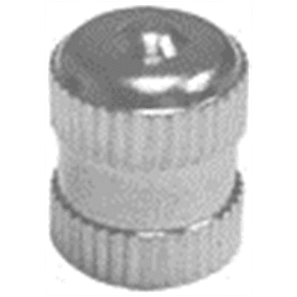 Tire Mechanic's Resource 100-pk of Long Metal Dome Tire Valve Cap with ...