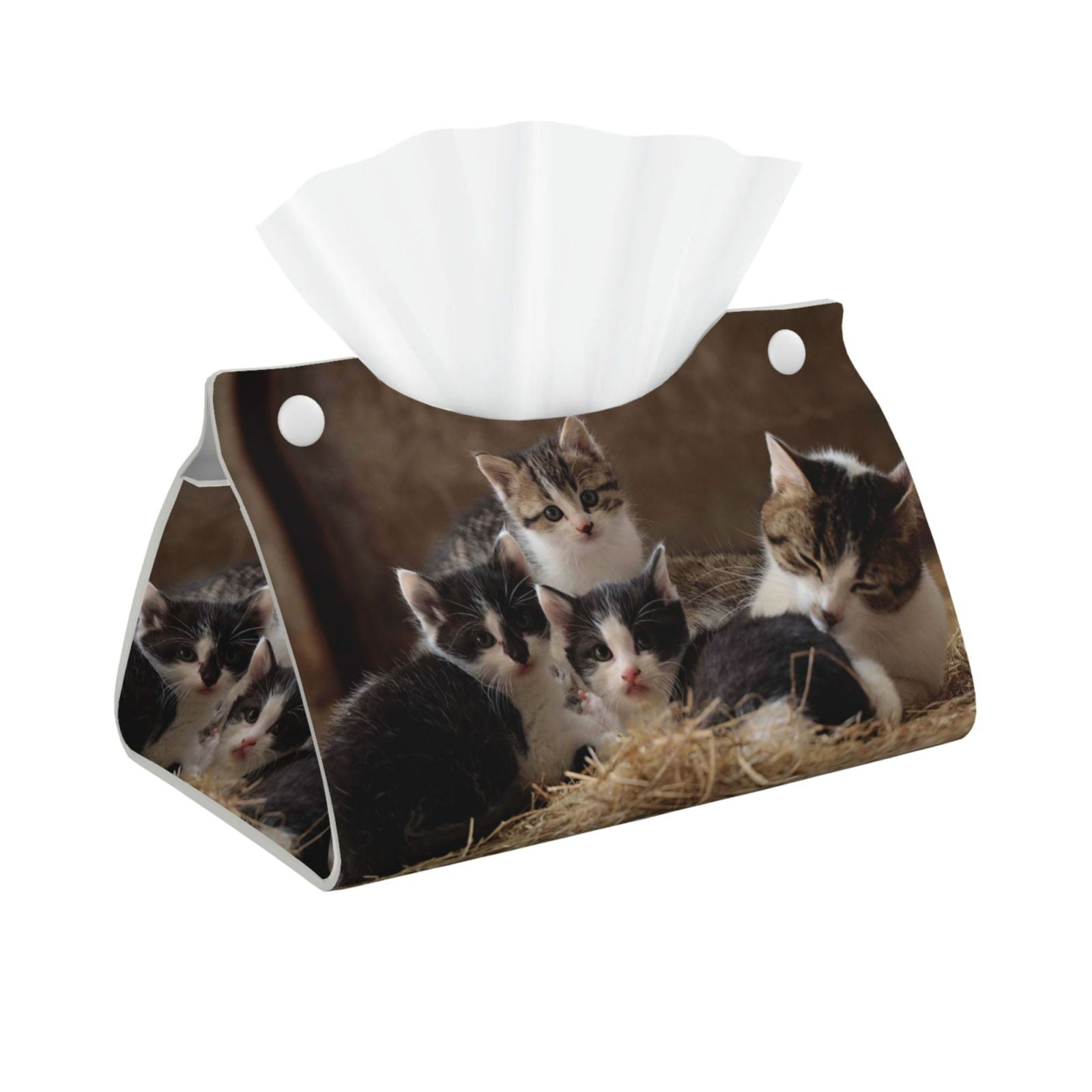 Tissue Box Cover Cat Family Tissues Boxes Holder Organizer for Bathroom ...