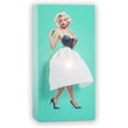 Tissue Boxes/Tissue Holder,Funny Vintage Lady Up Dress Design for ...