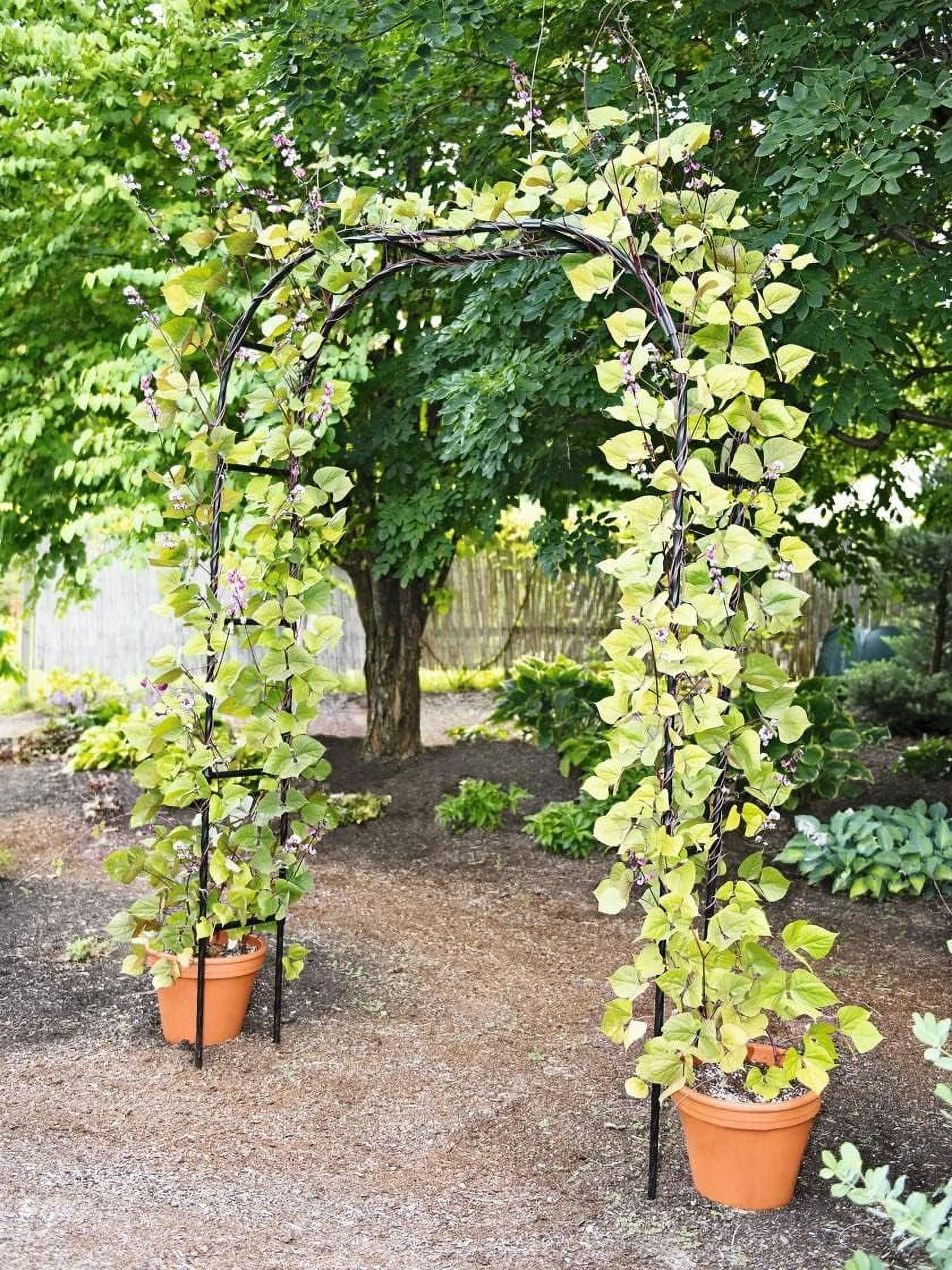 Titan Arch Arbor Garden Trellis | Sturdy Tall Garden Arch Plant Support ...