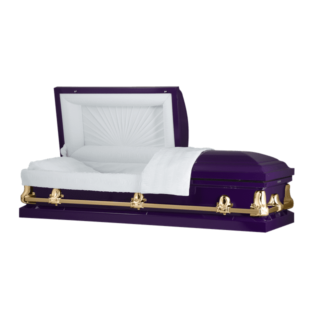Titan Orion Series Steel Coffin: Purple & Gold with White Interior ...