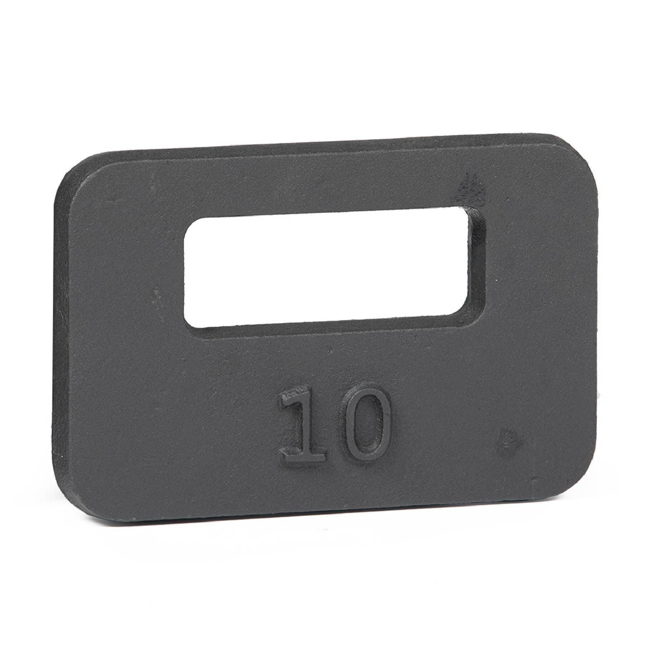 Titan Fitness 10 LB Cast Iron Ruck Weight Plate, Backpack Weight Training, Single Wide Handle ...