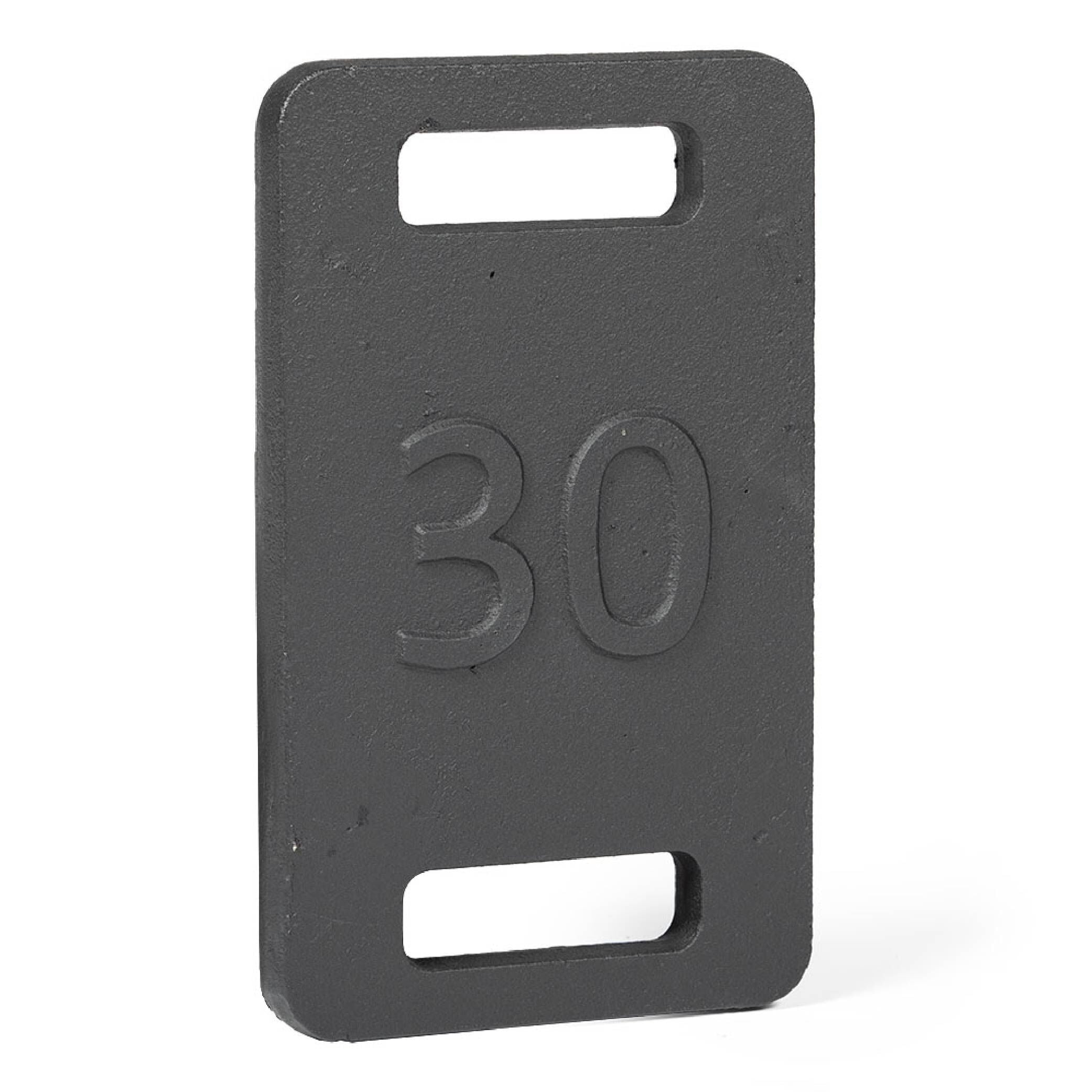 Titan Fitness 30 LB Cast Iron Ruck Weight Plate, Backpack Weight ...