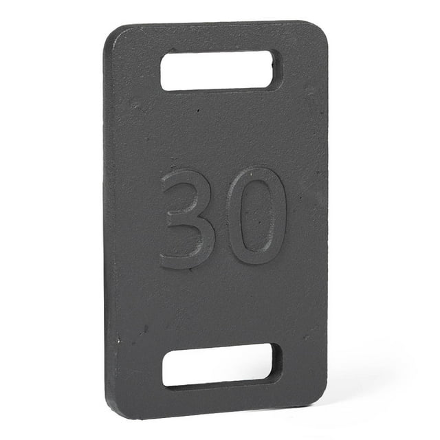 Titan Fitness 30 LB Cast Iron Ruck Weight Plate, Backpack Weight ...