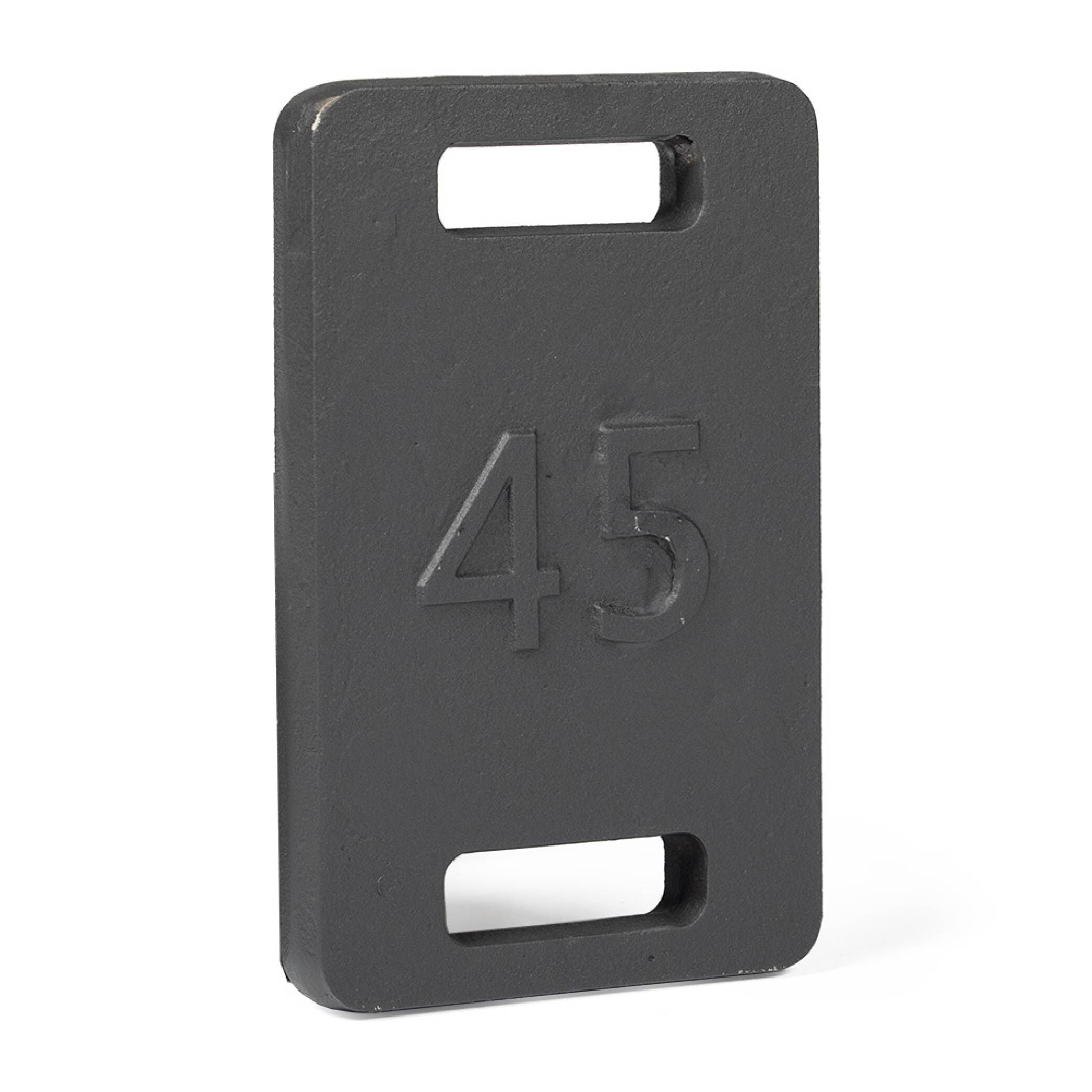 Titan Fitness 45 LB Cast Iron Ruck Weight Plate, Backpack Weight ...