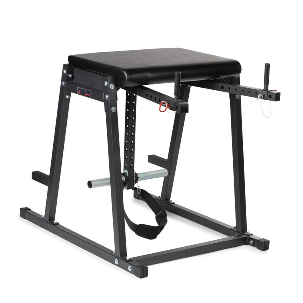 Titan Fitness Economy H-PND, Reverse Hyperextensions Lower Body Machine ...