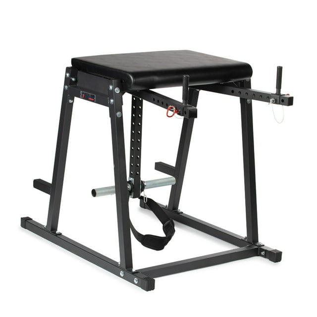 Titan Fitness Economy H-PND, 700 LB Rated, Home Gym Glute Workout ...