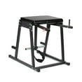 Titan Fitness Economy H-PND, Reverse Hyperextensions Lower Body Machine ...