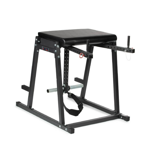 Titan Fitness Economy H-PND, Reverse Hyperextensions Lower Body Machine ...