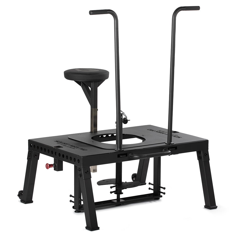 Titan Fitness Freestanding SquatMax-MD, Rated 1,000 LB Loading Pin ...