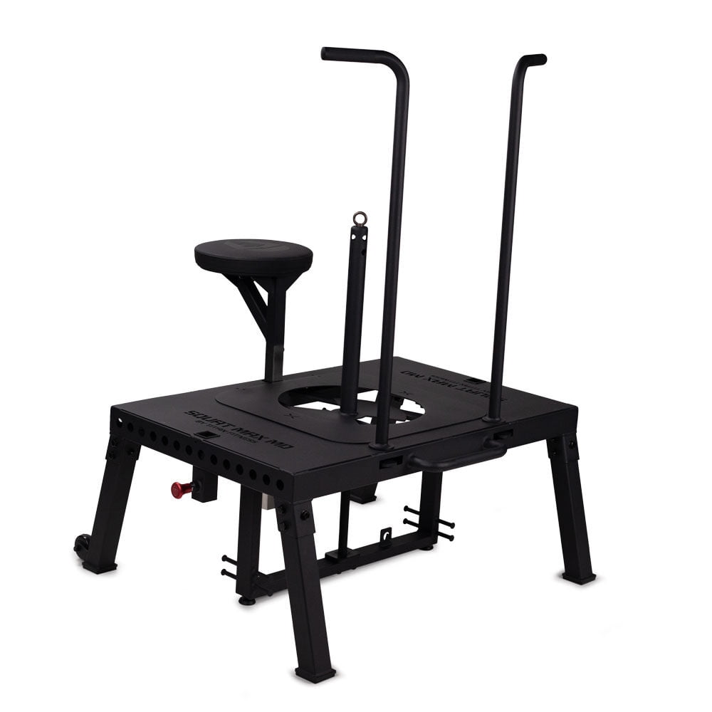 Titan Fitness Freestanding SquatMax-MD, Rated 1,300 LB Loading Pin ...