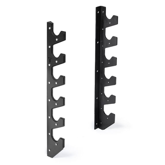 Titan Fitness Wall-Mounted Barbell Gun Rack, Holds 6 Olympic Bars ...