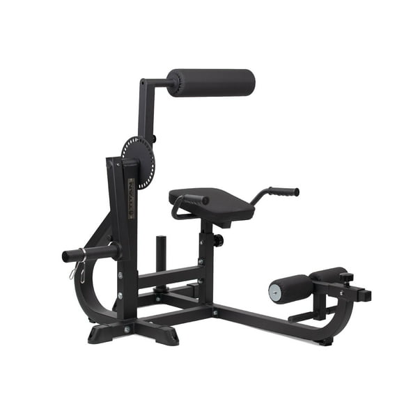 Back Extension Machine