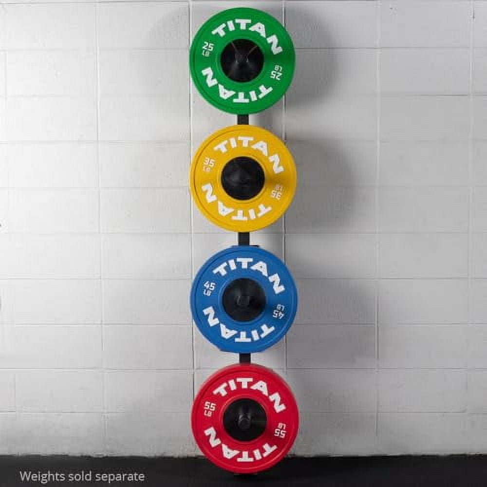 Titan Fitness Weight Plate Wall Mounted Storage Rack, Angled 4-Peg ...