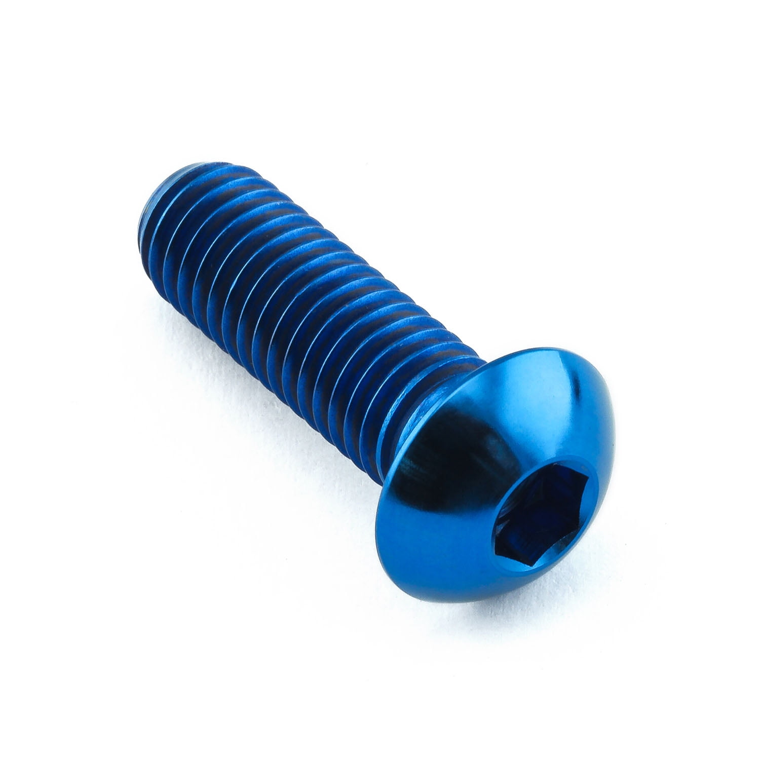 Titanium Disc Bolt BMW (13mm Domed Head) - Walmart.com