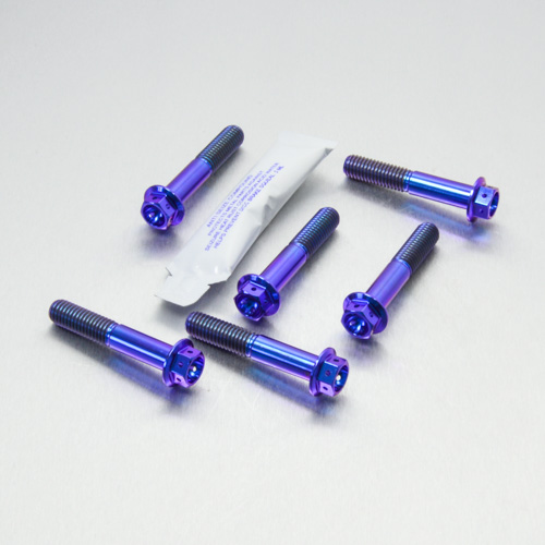 Titanium Front Caliper Pinch Bolt Kit Race Spec (TIFBCALIP130R ...