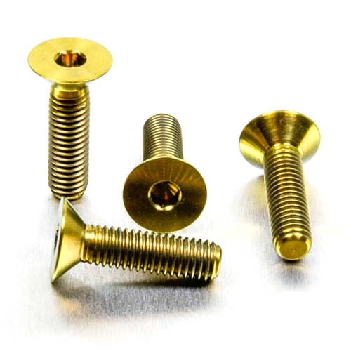 Titanium Grab Rail Mount Bolts (TIGRABRAIL10) - Walmart.com