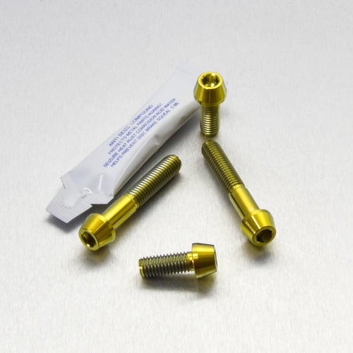 Titanium Grab Rail Mount Bolts (TIGRABRAIL20) - Walmart.com