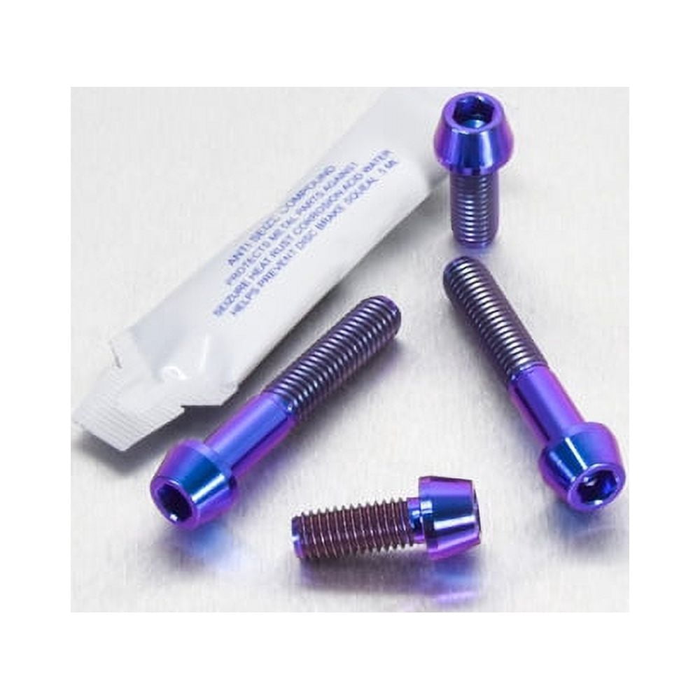 Titanium Grab Rail Mount Bolts (TIGRABRAIL20) - Walmart.com